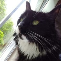 All it Takes is a White Woman – Autumn Siders